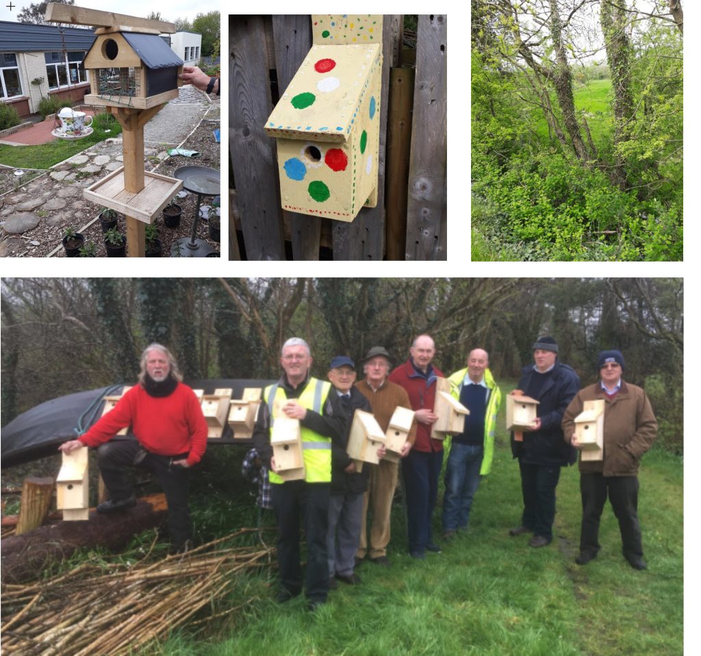 Boxes for Birds – Sustainable Skibbereen